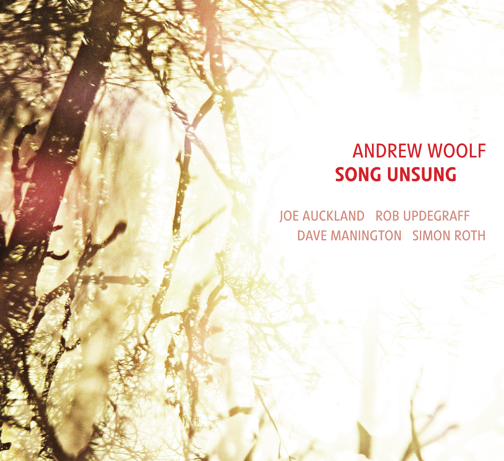 SONG UNSUNG – ANDREW WOOLF